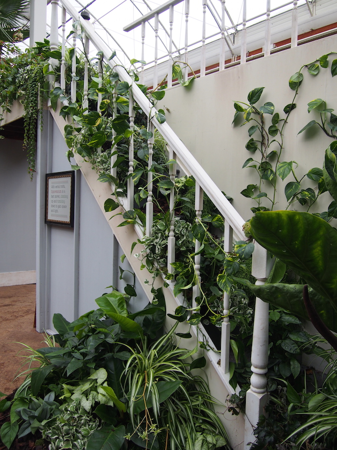 Monstera Mansion